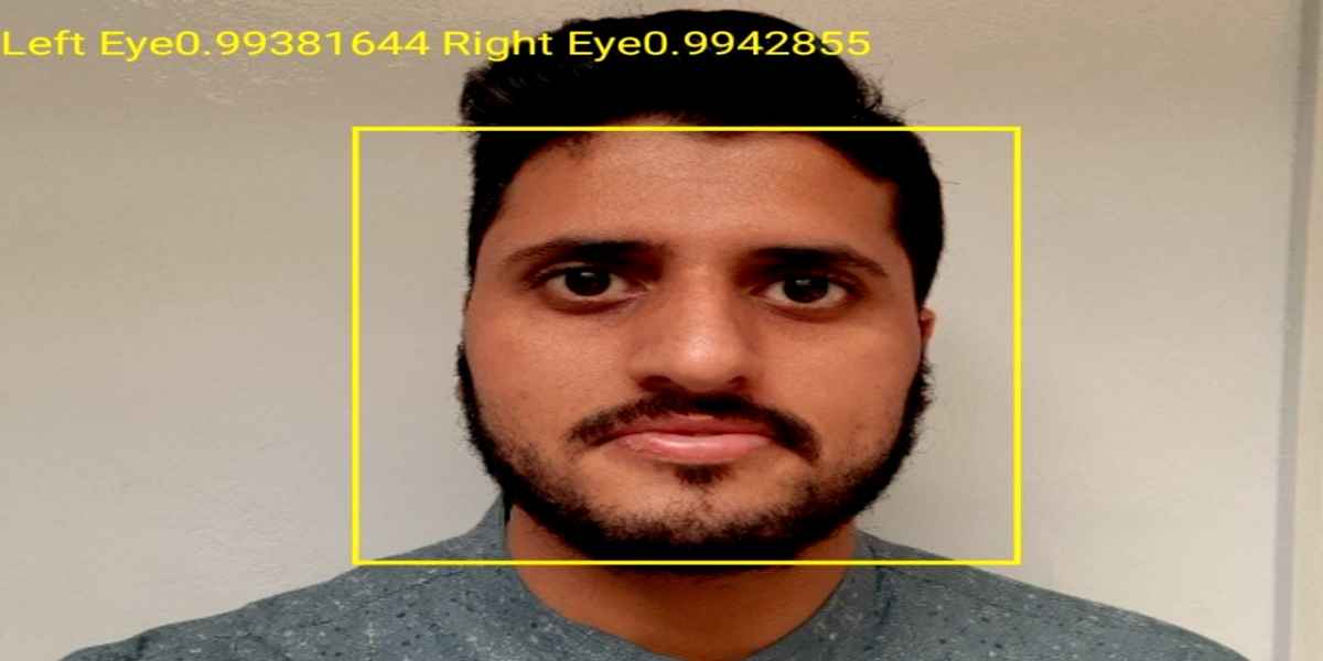 Drivers Drowsiness Detection System using Face Recognition - Career ...