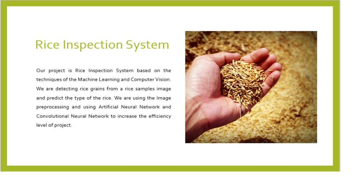 Rice Inspection System - Career Development Center, CUI Wah