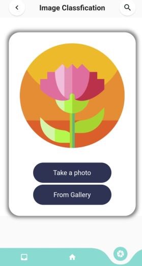 Flower Recognition Application - Career Development Center, CUI Wah